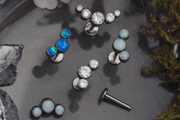 Ear Stretching | Ear Stretching Kits & Tapers | Stretch Your Lobes ...